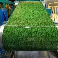 China PPGL Color Prepainted Prepainted Color Coated Galvanized Coil PPGI Steel Coil G350 for Building Material for sale