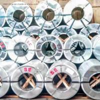 China Quality Standard of Galvalume Steel Coils (Alu-Zinc) Gi Steel Coil for sale