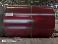 China Dx51d Galvanized Coated Steel Coil Prepainted Galvanized Coil PPGI Coils Color Coated Steel Coil for sale