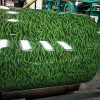China PPGI/PPGL Prepainted Galvanized/Galvalume/Aluzinc Steel Coil for Roofing Sheet for sale