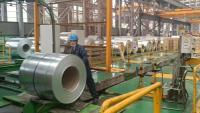 China SGCC (DX51D+Z) /Sgch (S550+Z) Gi Galvalume/Galvanized Steel Coil Cold Rolled Zinc Coated Steel Coil for sale