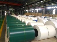 China Prime PPGI Prepainted Galvanized Color Galvanised Painted Steel Coil for sale