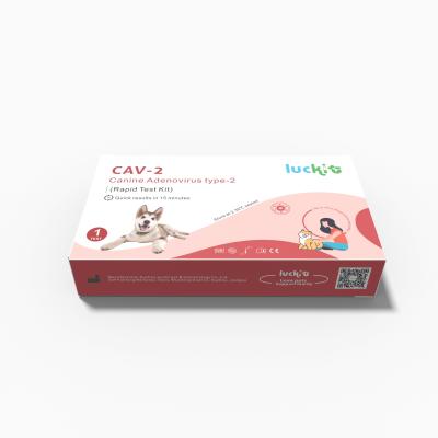 China 5-15 Minutes Canineadenovirus type 2 CAV-2 Pet Rapid Test Fast Reaction Rapid Class I for sale