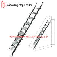 China HDG Carbon Steel Scaffolding Staircase Ladder Q235 with Hooks 450mm Width 2515mm Length for sale