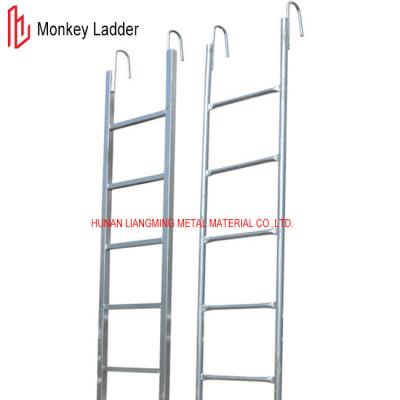 China Pre Galvanized Scaffolding Monkey Ladder Q235 Steel Step Ladder 3000mm Length for sale
