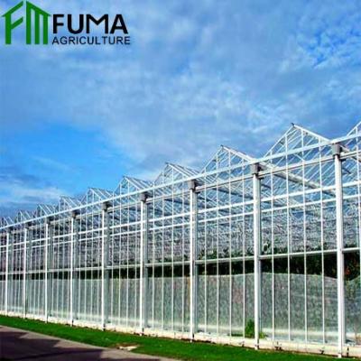 China Different kinds of full glass greenhouse hydroponic system FUMA cheap glass greenhouse hot on sale for sale
