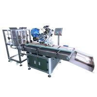 China Manufacturer Fully Automatic Lift-and-Labeling Machine CH-602F for Food Self-Sealing Bags and PE Plastic Bags for sale
