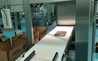 China Fully Automatic High Speed Pneumatic Spider Hand Packing Machine for Food Soft Bags and Cartons/Paper Packaging for sale