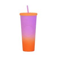 China Collections Tumbler With Lid And Straw Insulated Double-Wall Acrylic Cup for sale