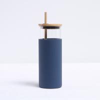 China Clear Color Portable Sturdy Silicone Covered Glass Water Bottle Glass Drinking Tumbler With Straw And Bamboo Lid Customized Logo Stylish Design for sale