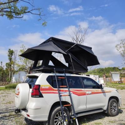 China Customized Fold Out Roof Tent Double Layer For Climates And Environments for sale
