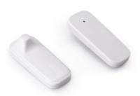 China EAS+RFID dual Hard tag HAT101for shoes or handbag , UHF RFID tag for apparel , EAS security tag , Cable tag for sale