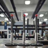 China Renishaw A-5003-1436 Probe 3D Stylus 6.0 Ruby 50mm Long M4 Carbon Fiber Rod for Milling Machine Industry 1 Year Warranty for sale