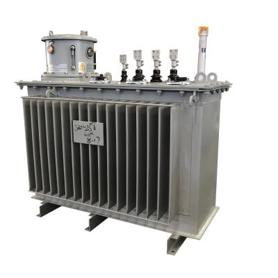 China 10KV Fully Sealed Oil Immersed Distribution Transformer For Modern Power Grids for sale