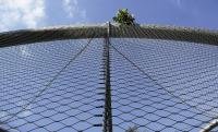 China Stainless Steel Safety Netting 2.0mm Wire 60x60mm Hole Fall Protection for sale