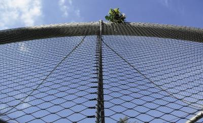 China Stainless Steel Safety Netting 2.0mm Wire 60x60mm Hole Fall Protection for sale
