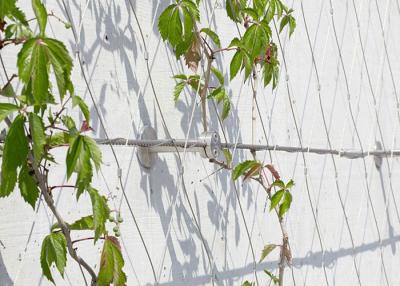 China SS 316 Aviary Wire Netting for Birds - Stainless Steel Zoo Fencing for sale