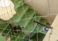 China Architectural Surface Stainless Steel Wire Rope Mesh Green Plant Climbing Wall Netting for sale
