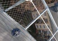 China SUS 316 Stainless Steel Wire Rope Mesh Fencing 2.0mm Weather Proof for sale