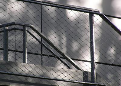 China High Durability Net Tight Steel Rope Mesh 25mm-300mm Aperture Size for sale