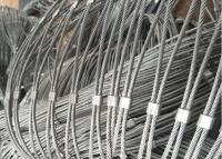 China Bird Cage Aviary Wire Netting Used In Zoo Mesh Safety Fencing for sale