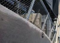 China Hanging Safety 25x25mm Stainless Steel Cable Netting Flexibility Anti Acid Customized for sale