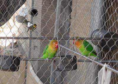 China Silver Wire Lightweight Aviary Netting With 30mm X 30mm Aperture for sale