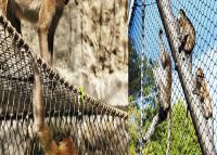 China Stainless Steel Zoo Enclosure Aviary Wire Netting 1m Roll Width Anti Rust for sale