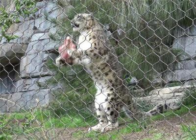 China SS 304 Wire Rope Mesh For Lion Enclosure Mesh for sale