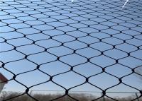 China Strong Stainless Steel Cable Wire Rope Mesh Aviary Wire Netting For Zoo Mesh for sale