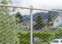 China 316 Ferrule Zoo Wire Mesh Aviary Bird Parrot Netting Mesh for sale