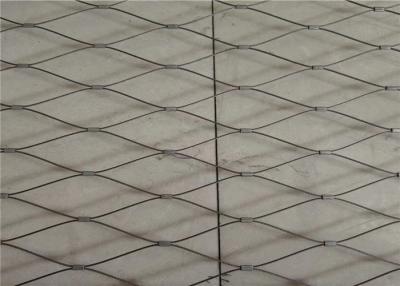 China Stainless Steel Zoo Wire Mesh For Bird Rain Forest Mesh for sale