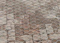 China Bird Rain Forest Stainless Steel Zoo Wire Mesh Custom Width for sale