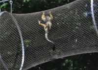 China 7x7 Stainless Steel Animal Wire Mesh Rope Enclosure CE Certificated for sale