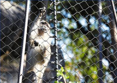 China Flexible Stainless Steel Cable Mesh Animal Enclosure Ferruled Mesh Style for sale