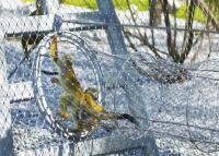 China X Tend Flexible Steel Mesh Knotted Woven Cable Animal Enclosure For Lion / Bird for sale