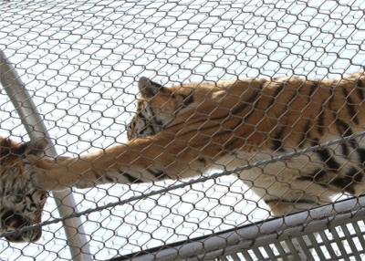 China 7x7 Tiger Metal Stainless Steel Zoo Mesh Enclosure Netting X Tend Shaped for sale