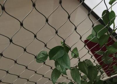 China Stainless Steel Wire Rope Mesh Trellis for Green Walls Custom Sizes for sale