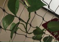 China Stainless Steel Wire Rope Mesh Trellis for Green Walls Custom Sizes for sale