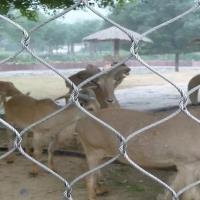 China Horizontal Zoo Wire Mesh For Animal Enclosure With 90 Degree Angle for sale