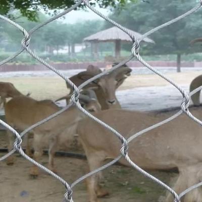 China Horizontal Zoo Wire Mesh For Animal Enclosure With 90 Degree Angle for sale