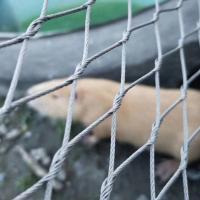 China Animal Enclosure Mesh Of 60/90 Degree Animal Containment Netting for sale