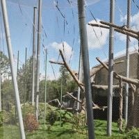 China Heavy Duty Zoo Animal Enclosure Wire Mesh Safety Netting In 1.2mm - 4.0mm Cable Dia for sale