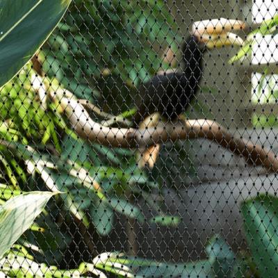China Protected Wild Animal Enclosure Fence Made With Seamless Stainless Steel Mesh for sale