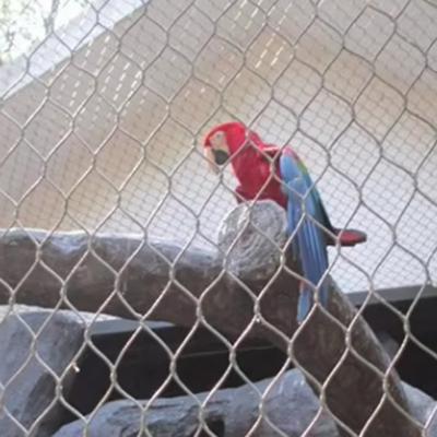 China Hand Woven Flexible Stainless Steel Zoo Wire Mesh Cabel Net Bigger Hole for sale