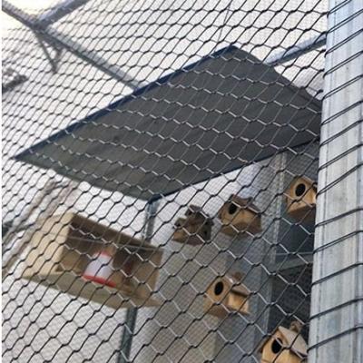 China 2mm Hand Woven Stainless Steel 306l Wire Rope Mesh Zoo Fence Mesh for sale