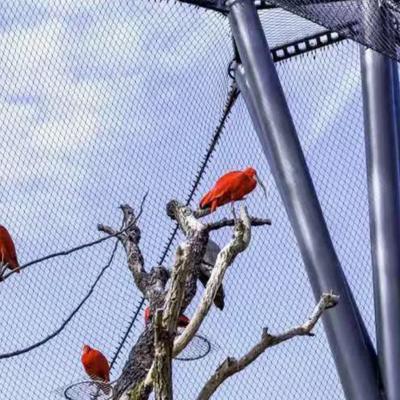 China Construction Decoration Climbing Net Cable Enclosure Zoo Mesh Woven ferrule 7x19 for sale