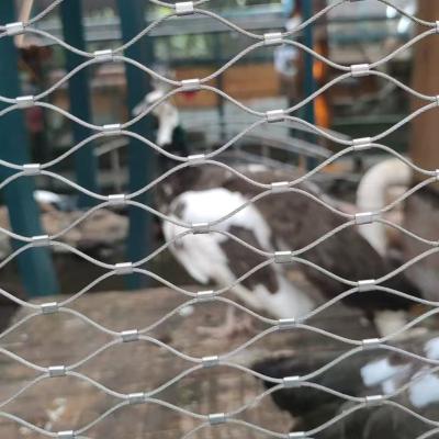 China 316 Rope Zoo Fencing Mesh Stainless Steel Flexible Aviary Wire Netting for sale
