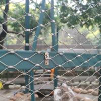 China 316 Flexible Stainless Steel Wire Rope Zoo Mesh For Animal for sale