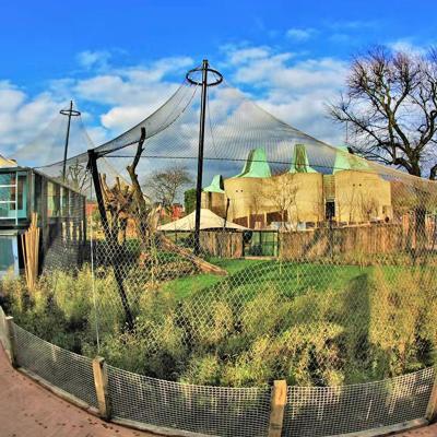 China 2mm Stainless Steel Wire Rope Mesh Net Stainless Steel Aviary Net for sale